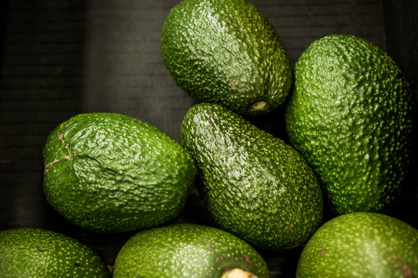 Avocados — Creamy flesh that is full of flavour | Tasmanian Grown