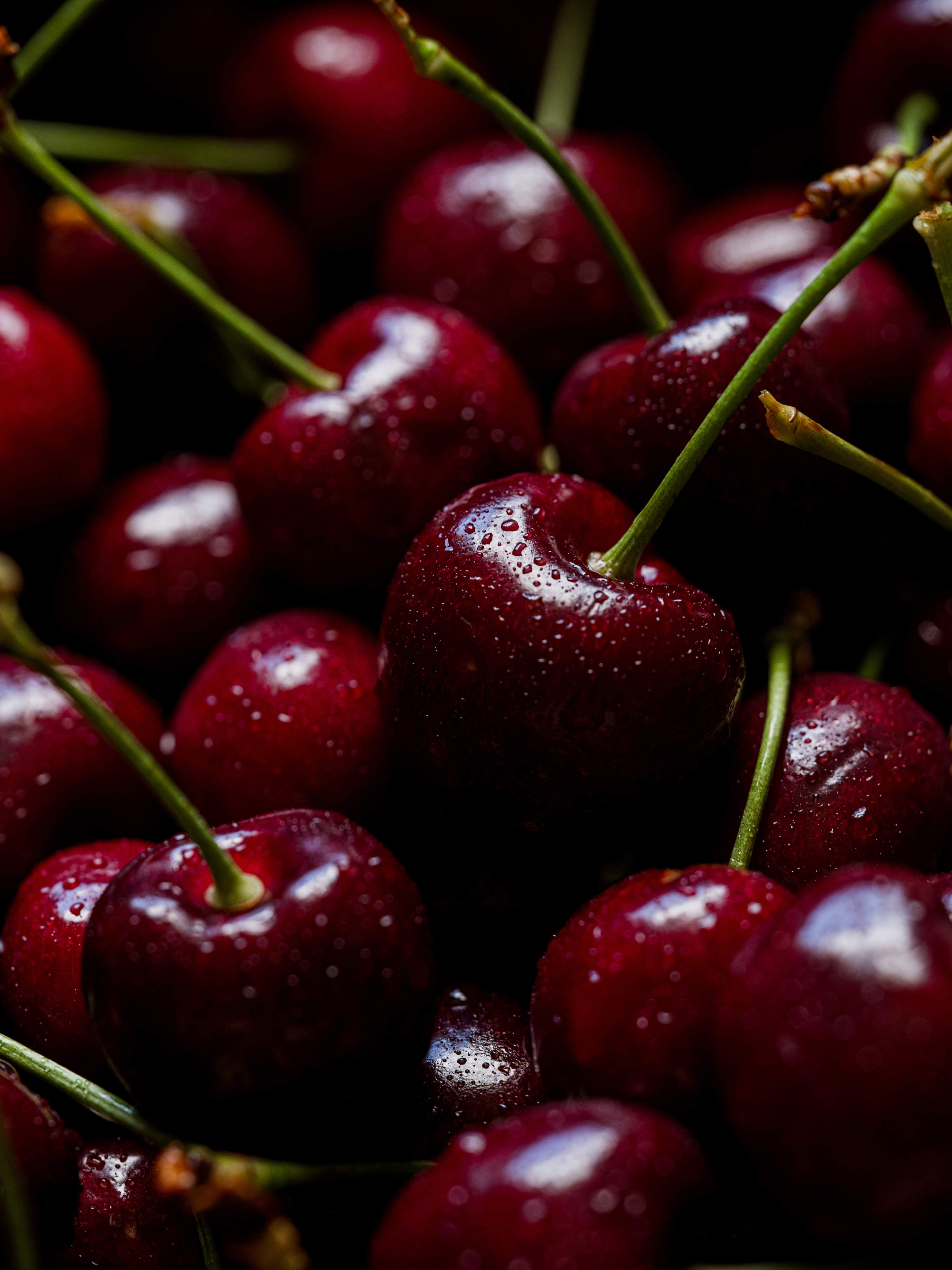 About Tasmanian Grown | Tasmanian Grown