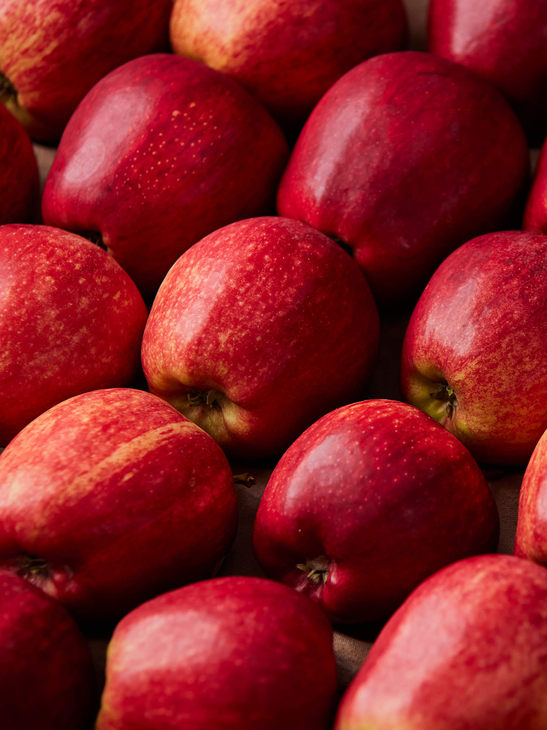 About Tasmanian Grown | Tasmanian Grown