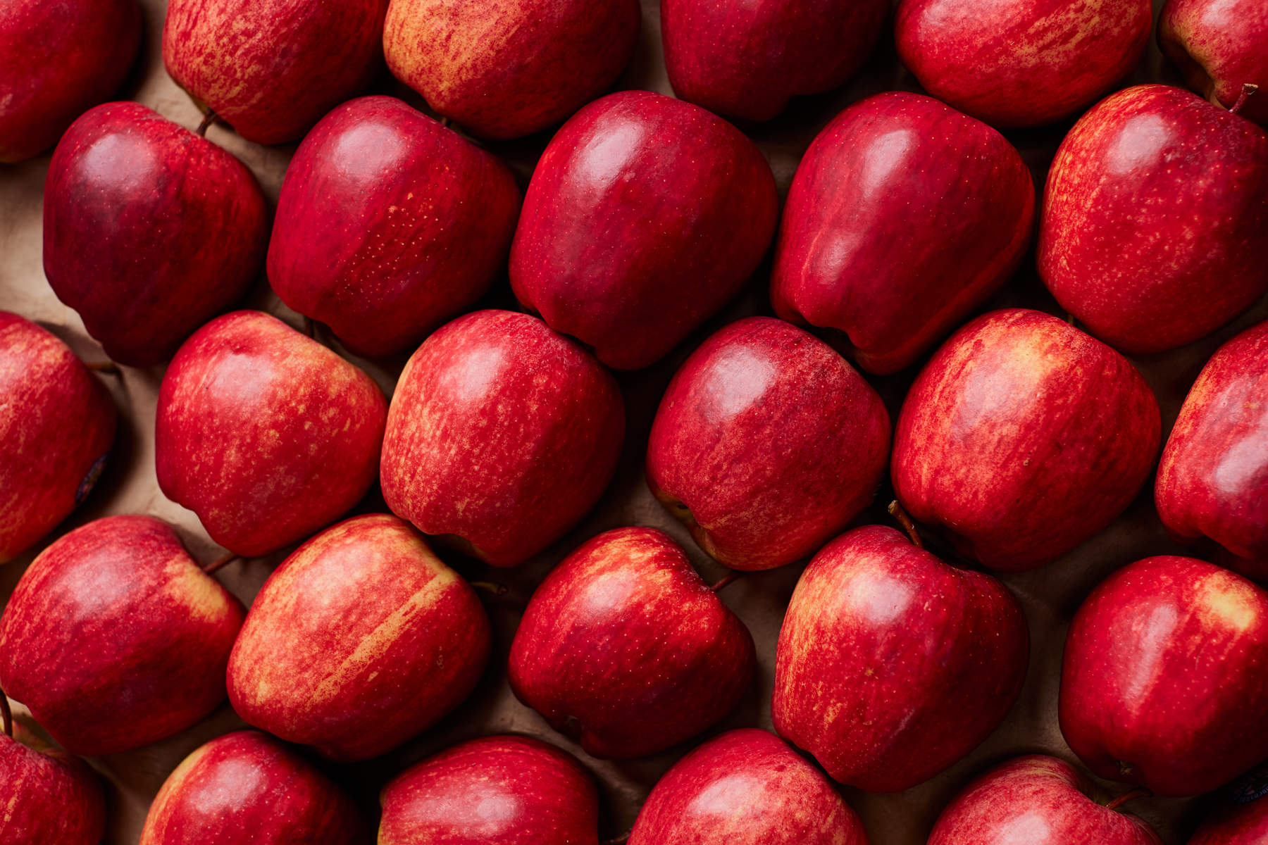 Apples — Crisp, sweet, and juicy | Tasmanian Grown