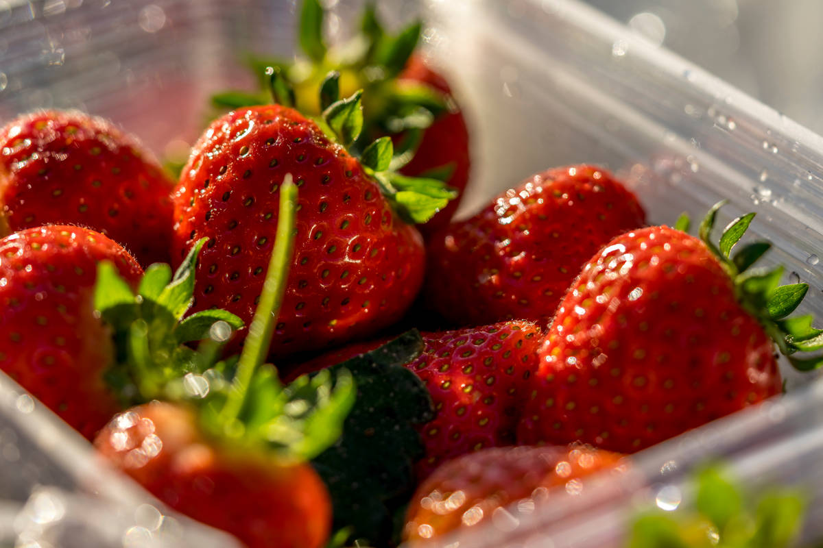 Strawberries — Ripe, juicy and sweet | Tasmanian Grown