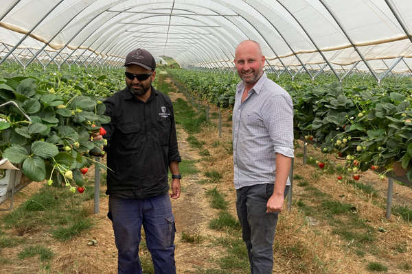 Richard Winspear of Berried in Tas | Tasmanian Grown