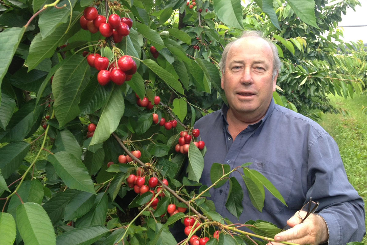 Tim Reid of Reid Fruits | Tasmanian Grown