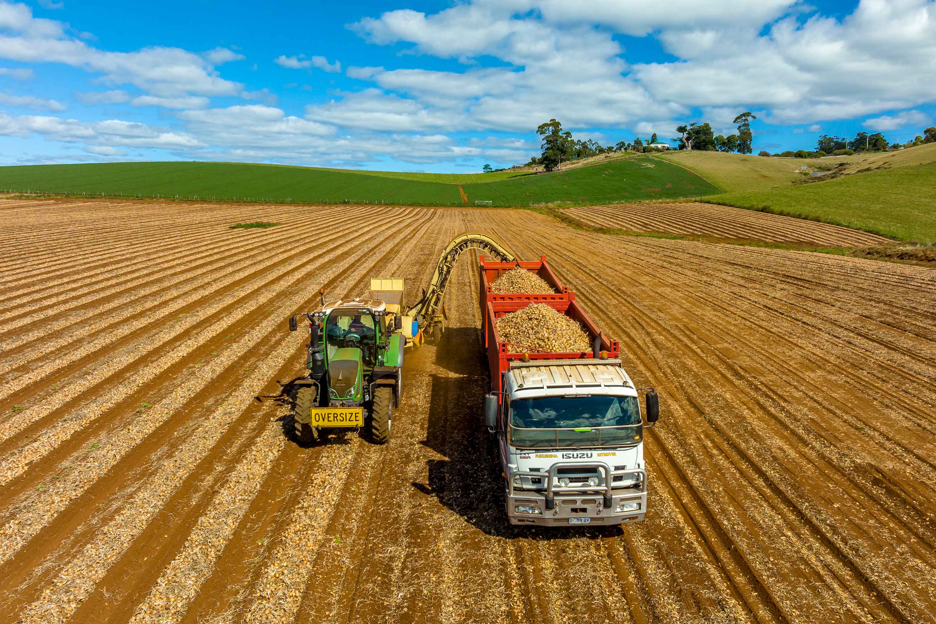 Tim Groom of Wynyon | Tasmanian Grown
